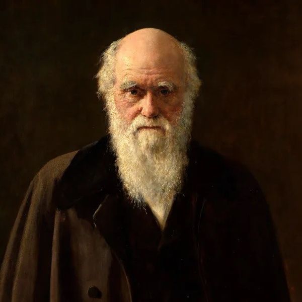 Bộ sưu tập 1.500 bài viết của Charles Darwin đã có trực tuyến cho người ...